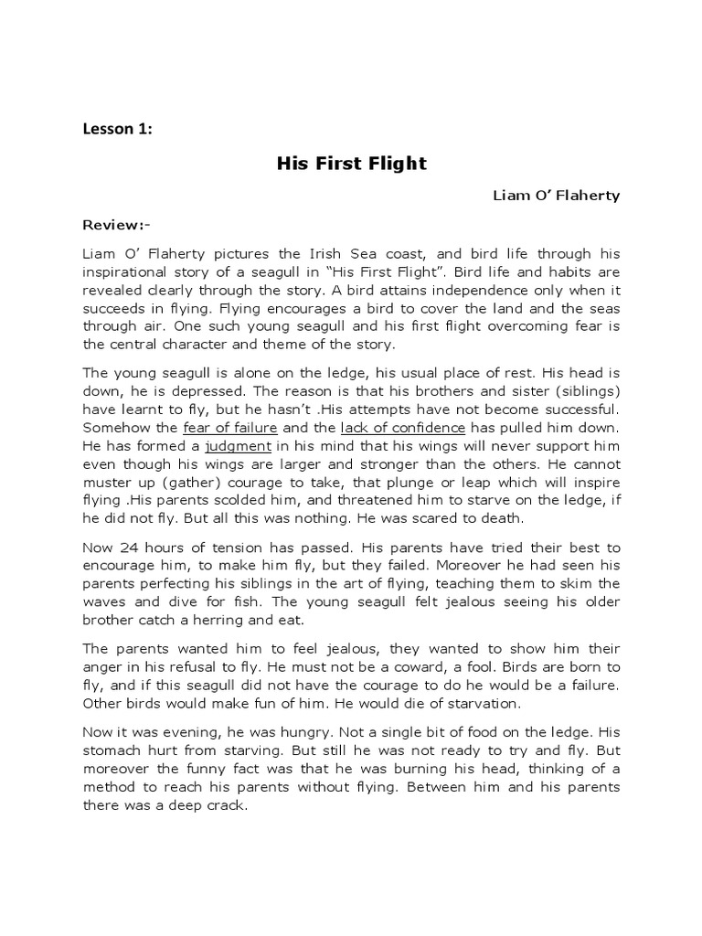 Lesson1 - His First Flight PDF | PDF | Motivation | Motivational