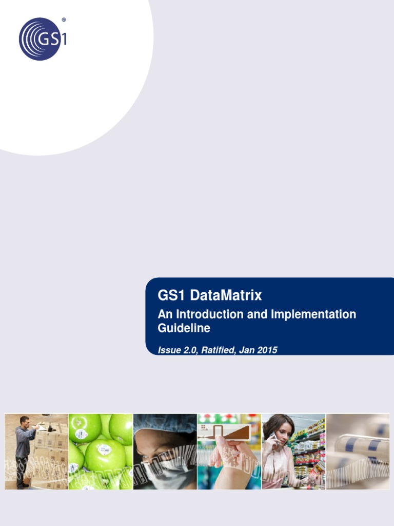 GS1 DataMatrix Guideline0115 | PDF | Barcode | Error Detection And ...