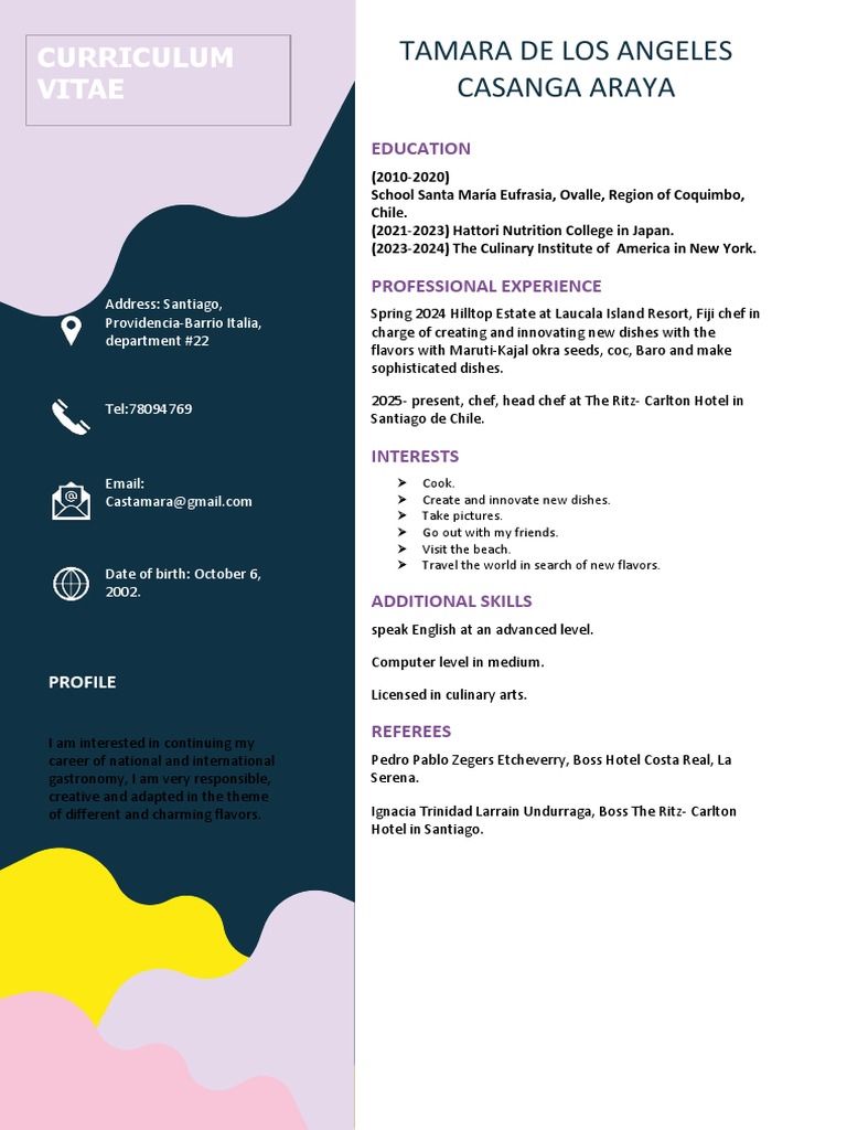 Tamara de Los Angeles Casanga Araya: Curriculum Vitae | PDF