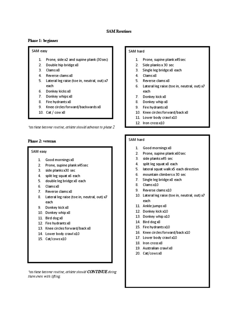SAM & Abs Routines | PDF | Individual Sports | Recreation