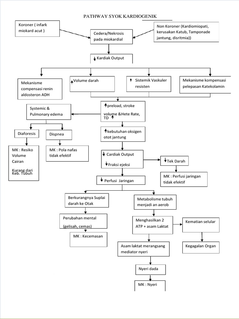 Dokumen - Tips Pohon Masalah Syok Kardiogenik | PDF