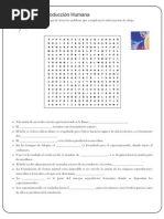 Sistema Nerviosos Central (Sopa de Letras)