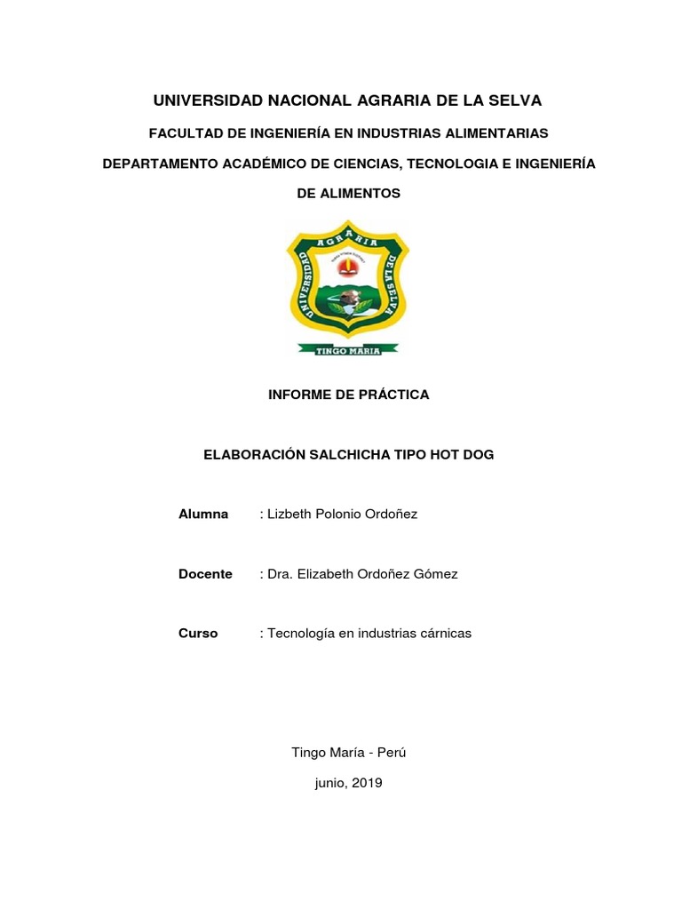 Practica Hot Dog | PDF | Pancho | Carne