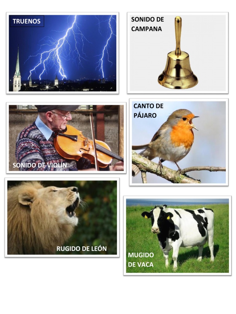 Sonido Grave y Agudo | PDF