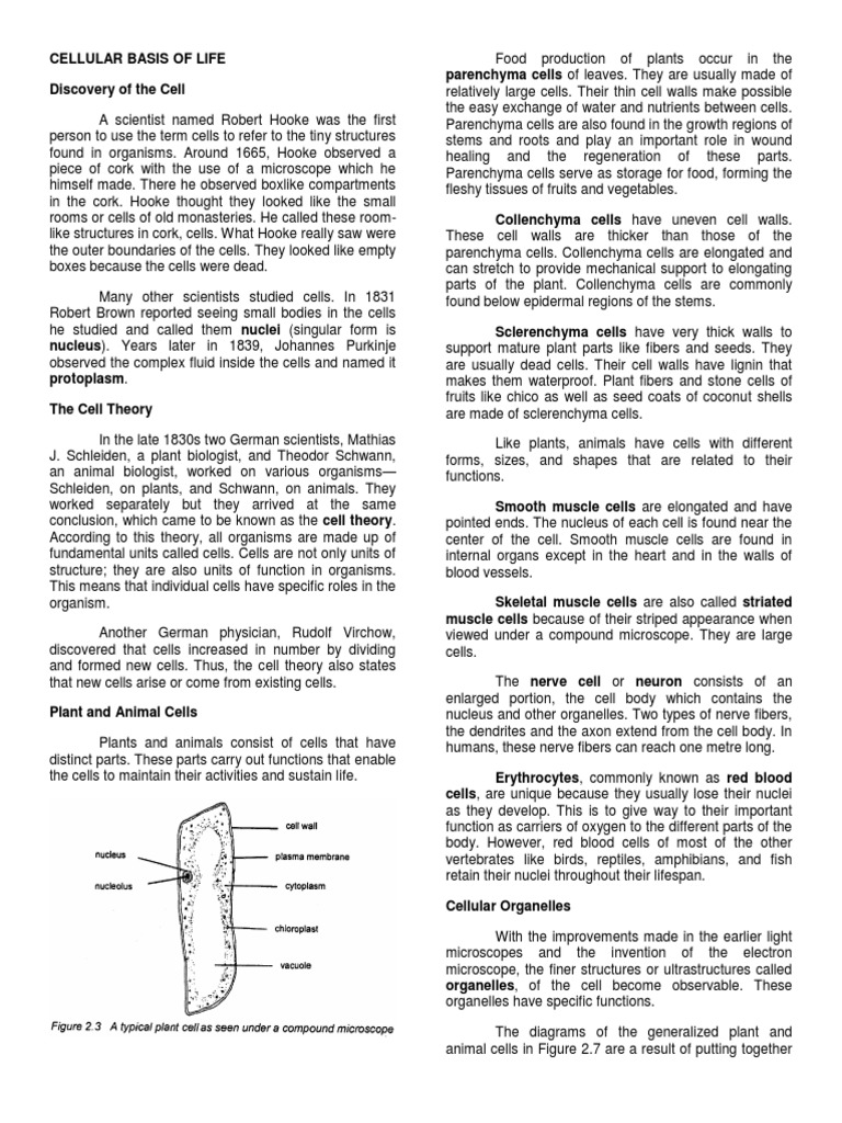 Cellular Basis of Life | Download Free PDF | Cell (Biology) | Cell Nucleus
