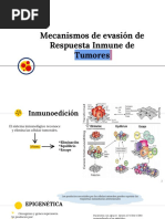 Uromune | PDF | Sistema inmune | Las bacterias