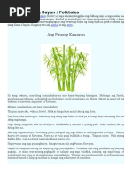 Hueteng Numbers With Meaning | PDF
