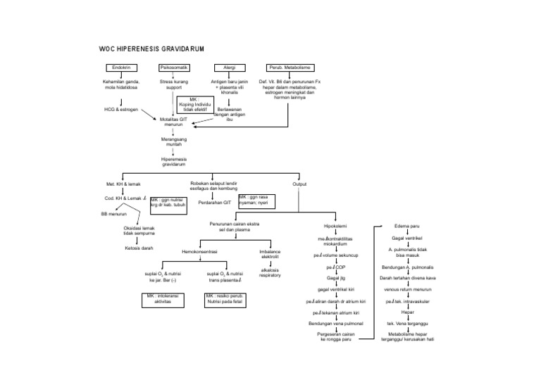 Woc Hiperemesis Gravidarum | PDF