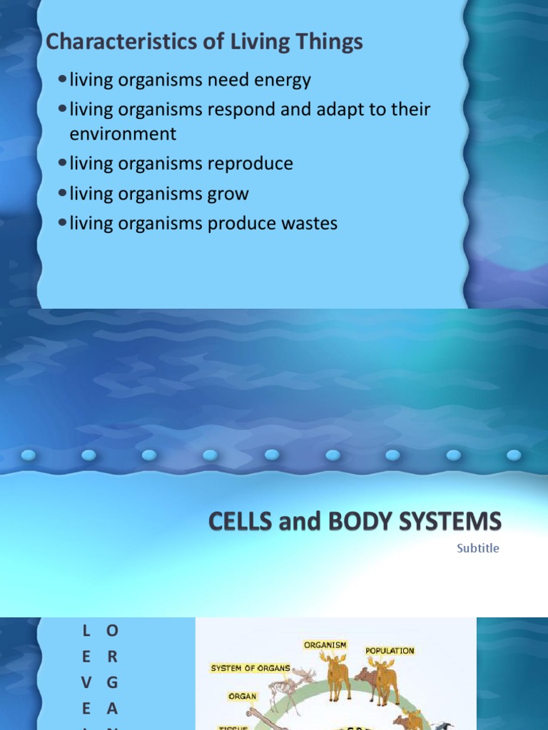 Cells and Body Systems | PDF