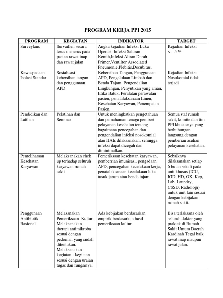 Program Kerja Ppi | PDF