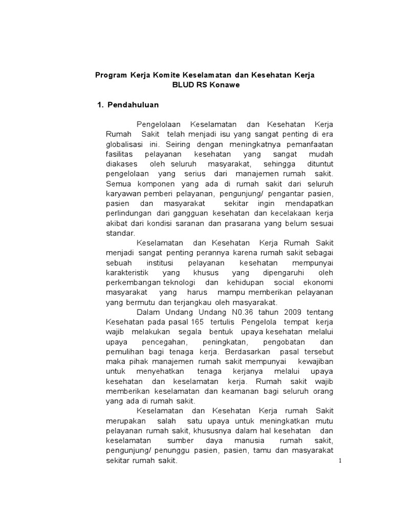 Program K3RS BLUD RS Konawe | PDF