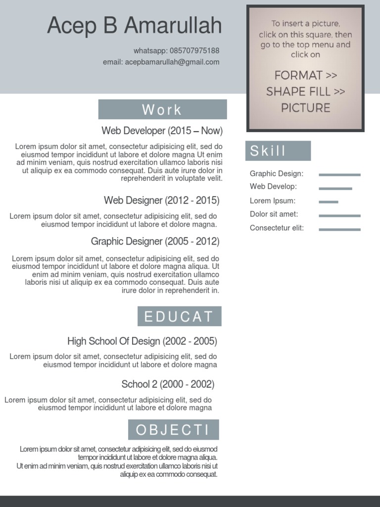 Acep B Amarullah: Work Experience Skill | PDF