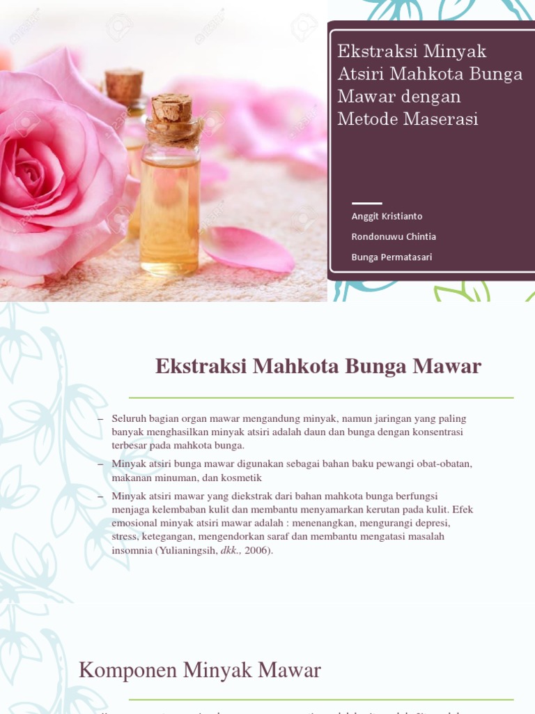 Minyak Atsiri Bunga Mawar | PDF