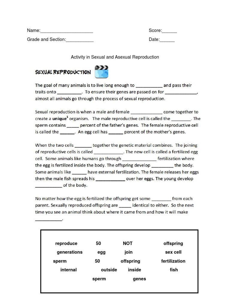 Sexual Ans Asexual Reproduction Activity | PDF