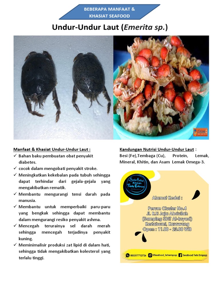 Beberapa Manfaat Seafood - Undur-Undur Laut | PDF