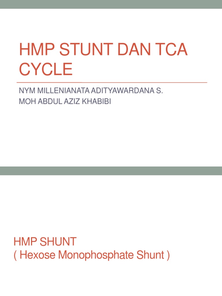 HMP Shunt | PDF
