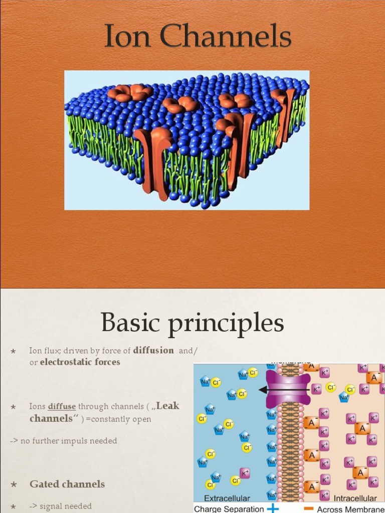 Ion Channels and Their Role in Establishing Membrane Potential and ...