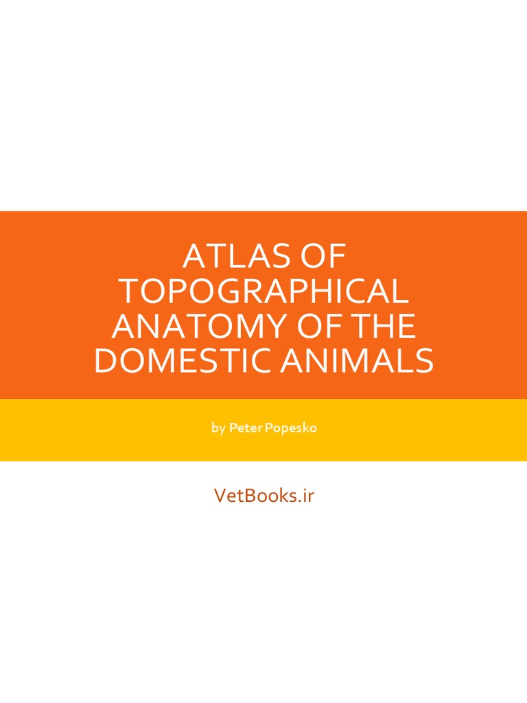 Atlas of Topographical Anatomy of The Domestic Animals | PDF