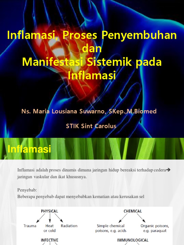 Inflamasi | PDF