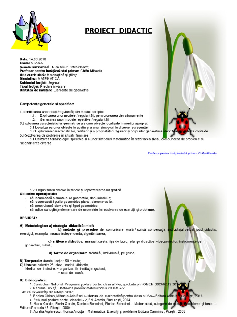 20 Proiect Didactic Matematica | PDF
