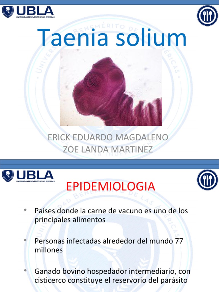 Taenia Solium | PDF | Especialidades Medicas | Bienestar