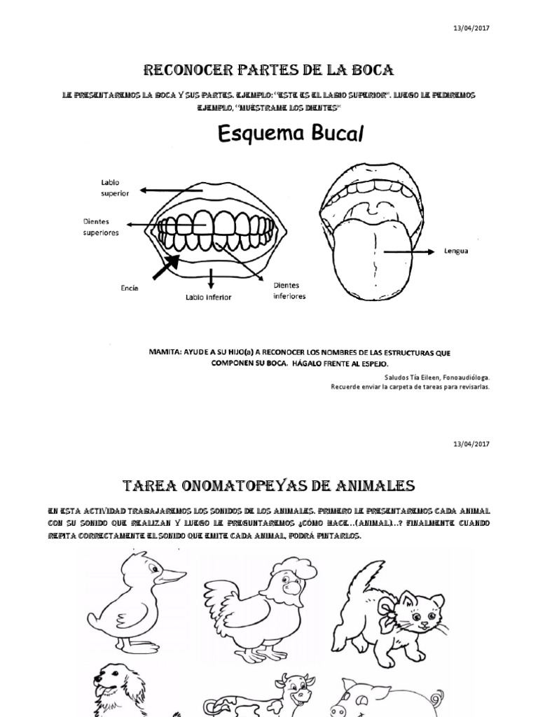 Reconocer Partes de La Boca | Descargar gratis PDF | Interés humano ...