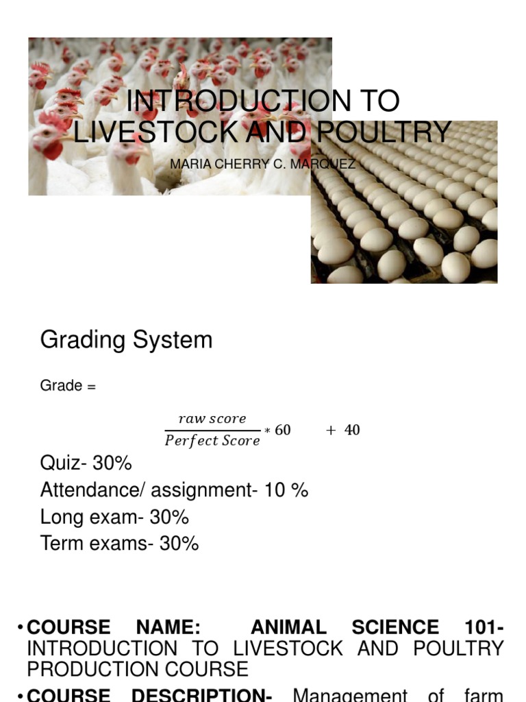 Introduction to Livestock & Poultry Production | PDF | Chicken | Dairy ...