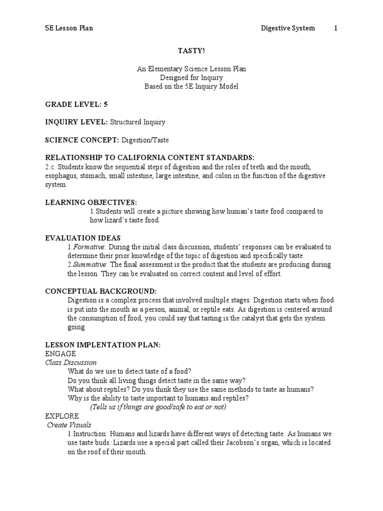 Lesson 2 - Tasty | PDF | Epistemology | Pedagogy