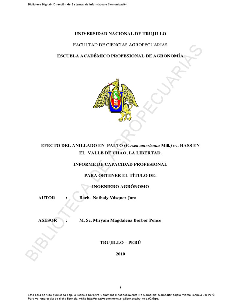 II - Efecto Del Anillado en Palto PDF | PDF | Aguacate | Perú