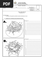 Cell City Worksheet Answer Key | PDF | Cell (Biology) | Cytoplasm
