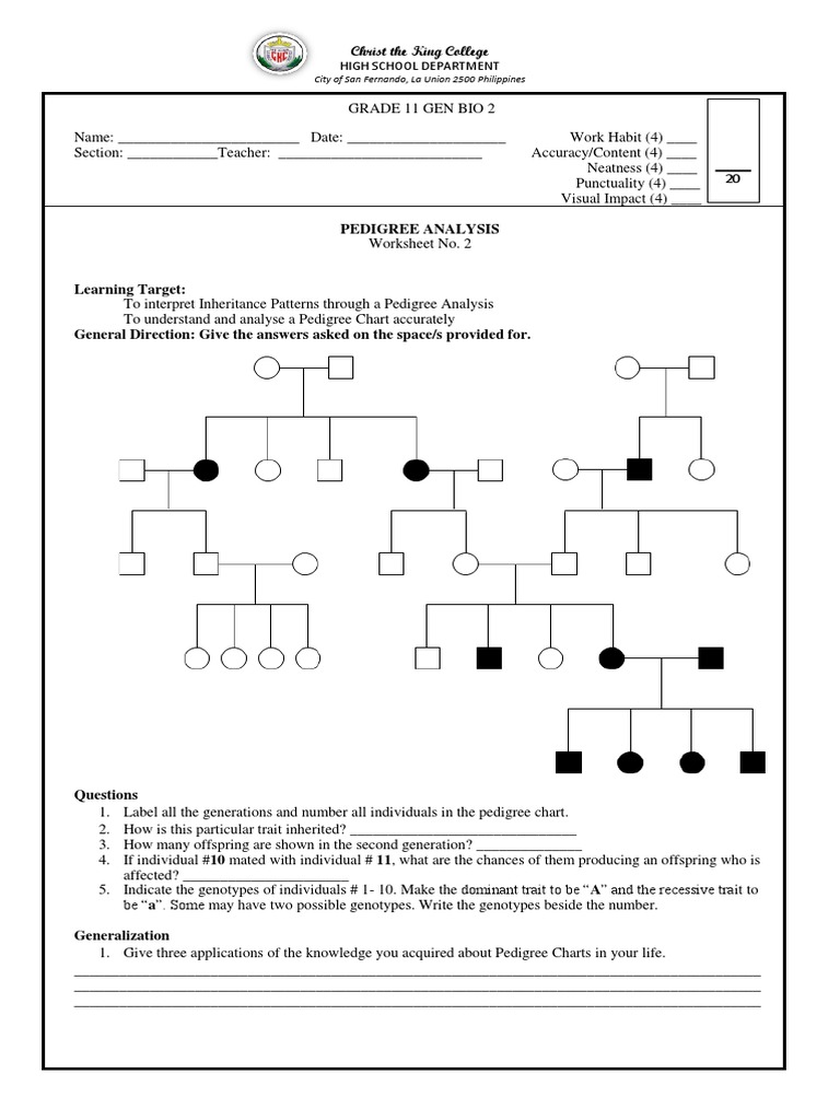 G11 Bio2 WS2 Pedigree Analysis | PDF | Career & Growth | Business