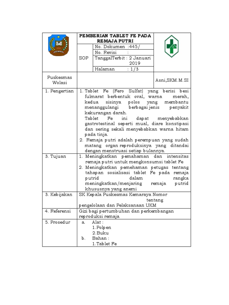 Pemberian Tablet Fe Pada Remaja Putri | PDF