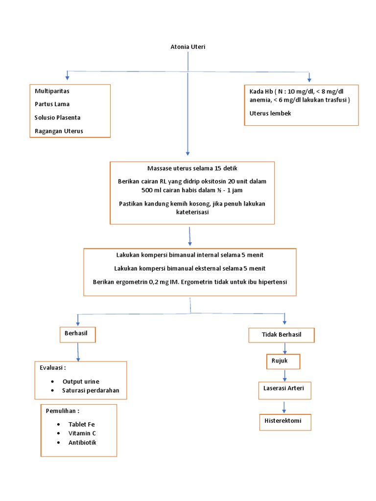 Algoritma Atonia Uteri | PDF
