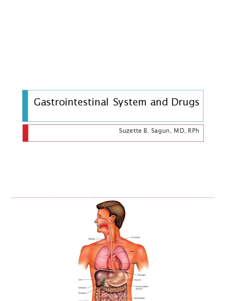 Understanding the Complex Roles and Functions of the Gastrointestinal ...