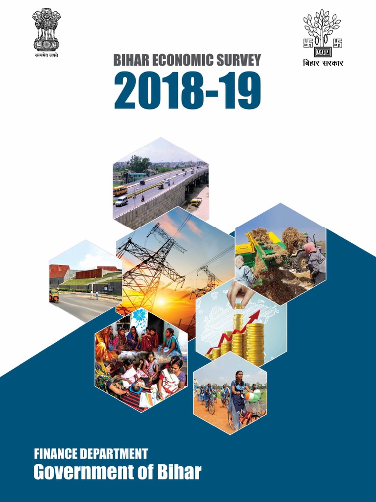 Economic Survey 2019 (Bihar) | PDF | Government Budget Balance | Gross ...