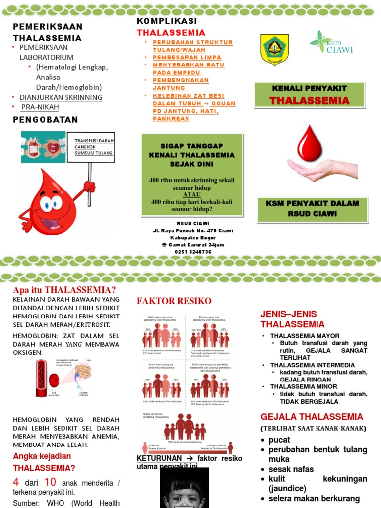 Leaflet Thalassemia | PDF