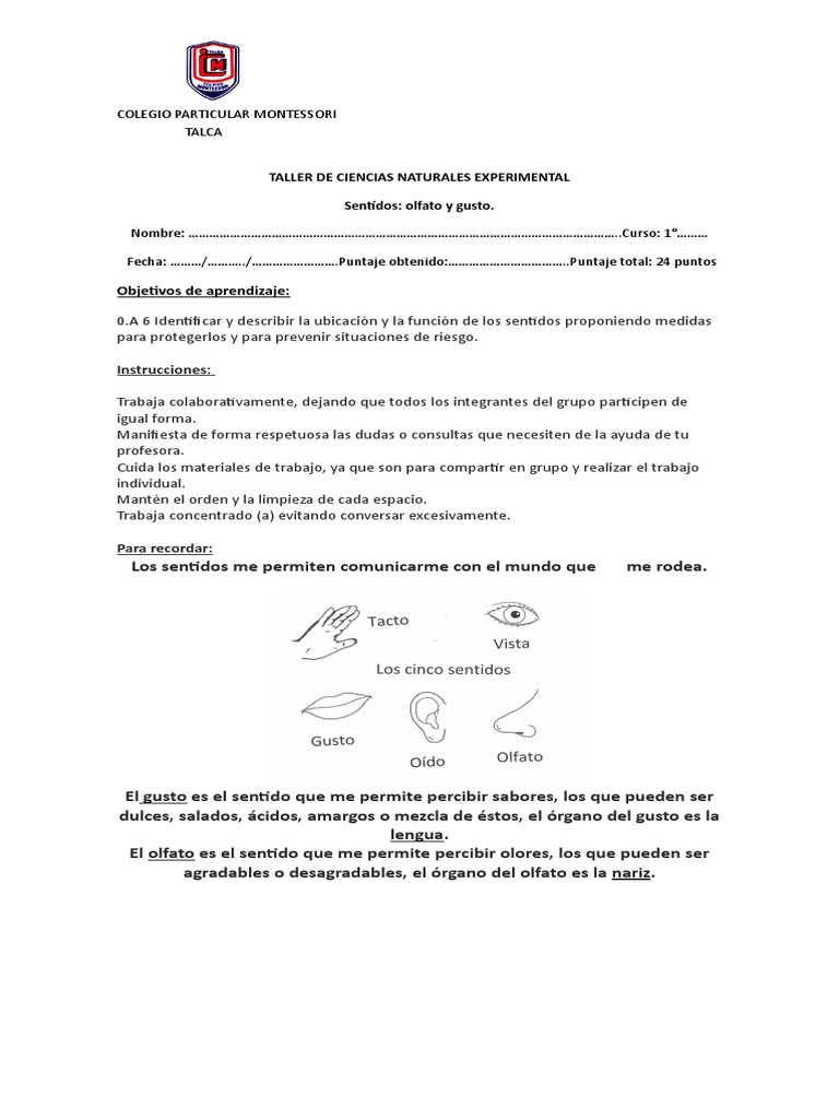 Taller Sensorial: Olfato y Gusto Infantil | PDF | Gusto | Sabor