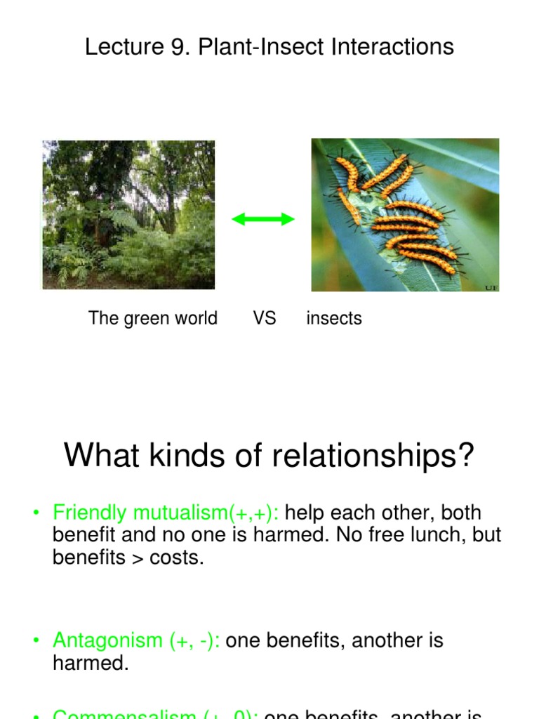 Lecture 9. Plant-Insect Interactions: The Green World VS Insects | PDF ...