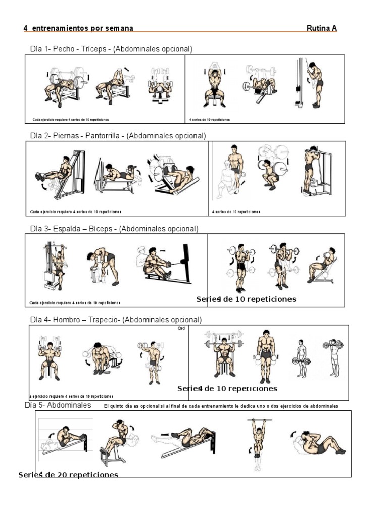 Rutinas para Gym | PDF | Hombro | Medicina CLINICA