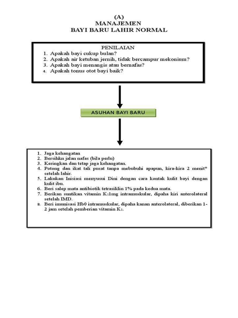 Manajemen Bayi Baru Lahir Normal | PDF
