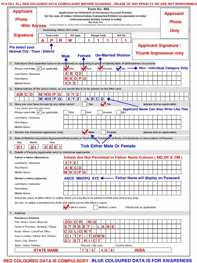 Guideline Individual Pan (How To Fill) | PDF