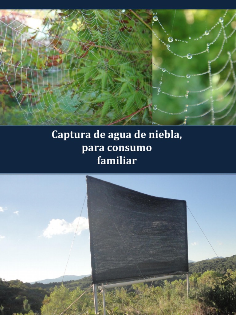 Cosechando agua cerquita de la casa: Una solución efectiva para obtener agua a través de la ...