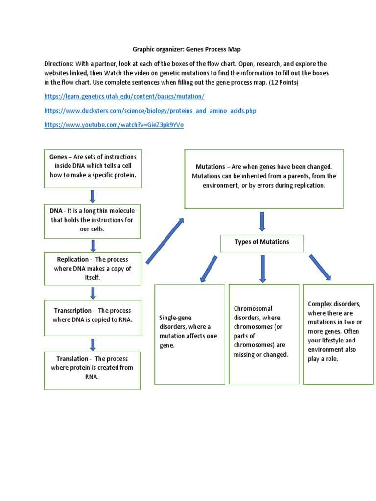 Gene Mutation Process Map | PDF | Gene | Mutation