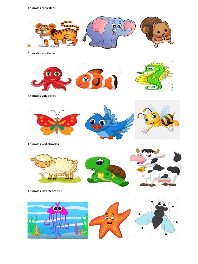 Clasificación general de los animales según sus características y ...