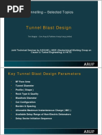 NONEL Initiation System User Manual | PDF | Explosive Material | Explosion