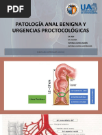 El Paciente Con Proctorragia Como Abordarlo | PDF | Hemorroides ...