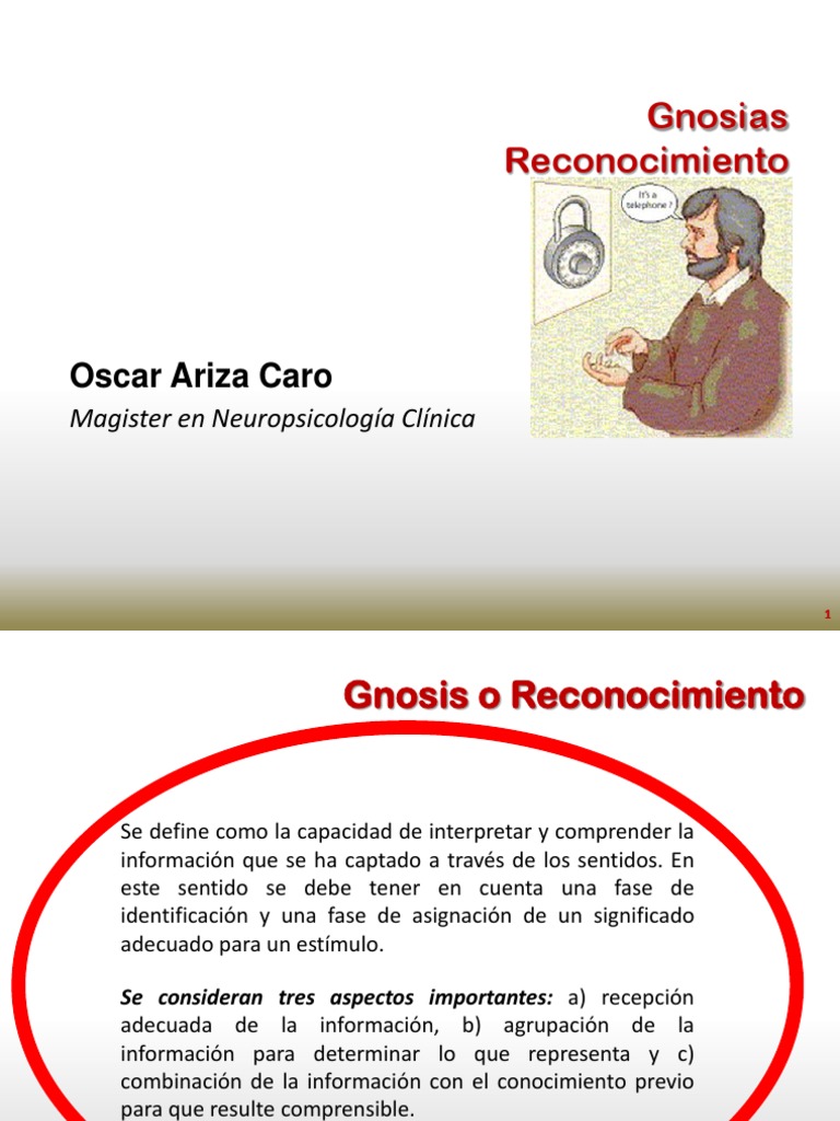 Gnosias | Descargar gratis PDF | Hemisferio cerebral | Procesos mentales