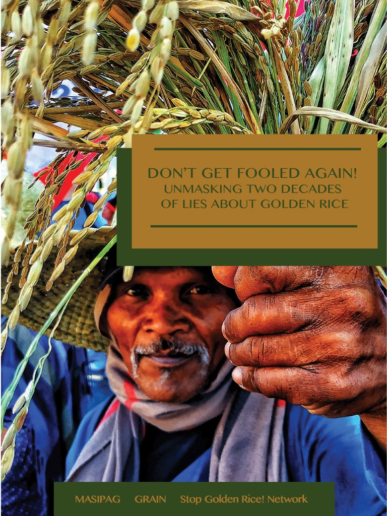 Golden Rice 2018 Report | PDF | International Rice Research Institute ...