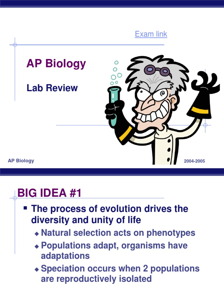 Ppt. AP Bio - Review of All Labs | PDF | Meiosis | Dominance (Genetics)