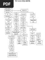 Pathway CKD Sdki | PDF